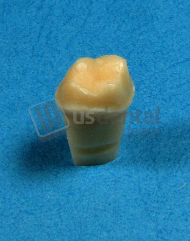 PREP #30 0.75IN CROWN | ECCO # 2009-P | US Dental Depot