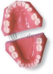 2074-3B SECOND BICUSPID | ECCO # 2074-3B | US Dental Depot