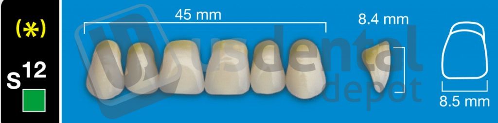 DENTURE TEETH | DAVINCI # S12A0 | US Dental Depot