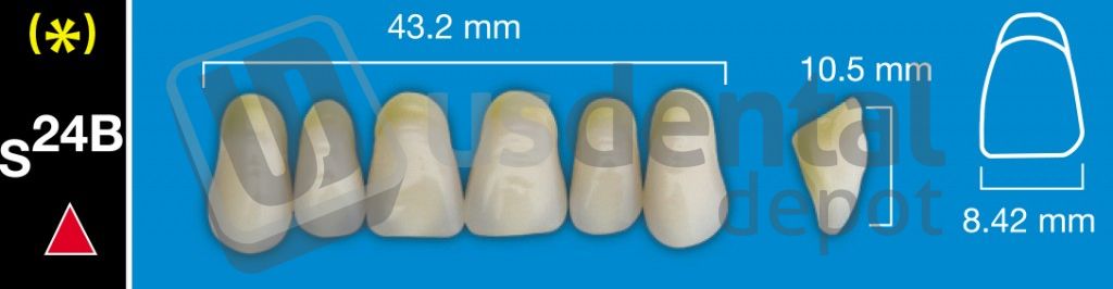 DENTURE TEETH | DAVINCI # A | US Dental Depot