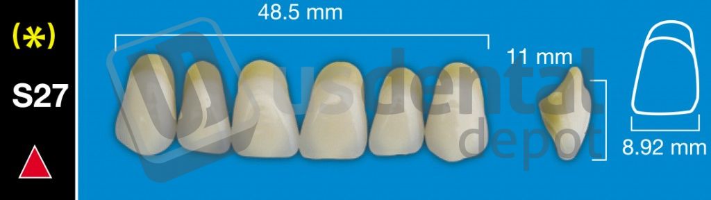 DENTURE TEETH | DAVINCI # A | US Dental Depot