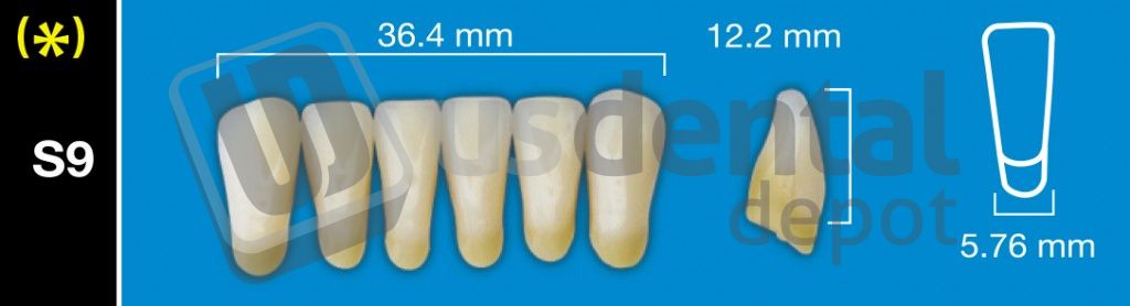 DENTURE TEETH | DAVINCI # A | US Dental Depot