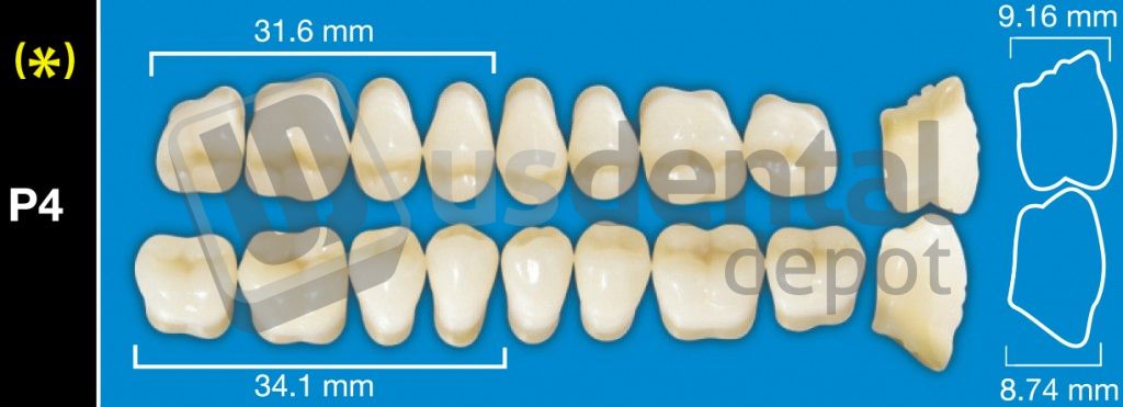 DENTURE TEETH | DAVINCI # A | US Dental Depot