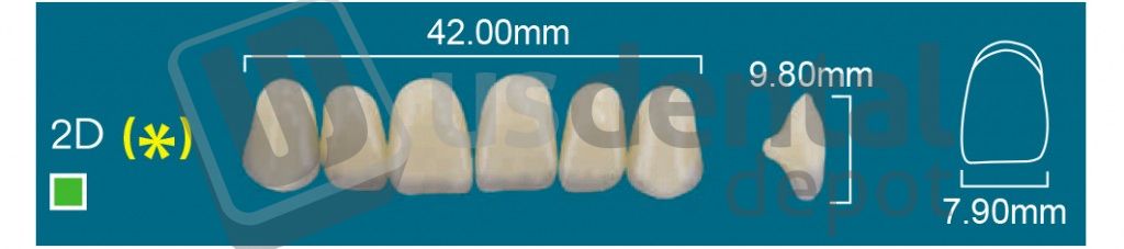 DENTURE TEETH | RAFAEL # A | US Dental