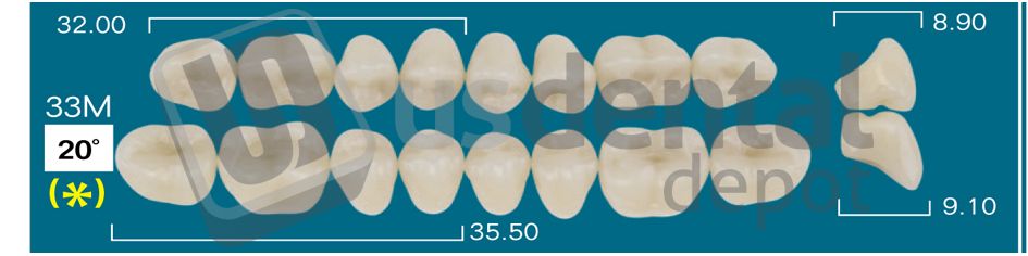 DENTURE TEETH | RAFAEL # A | US Dental Depot