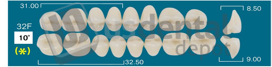 DENTURE TEETH | RAFAEL # A | US Dental Depot