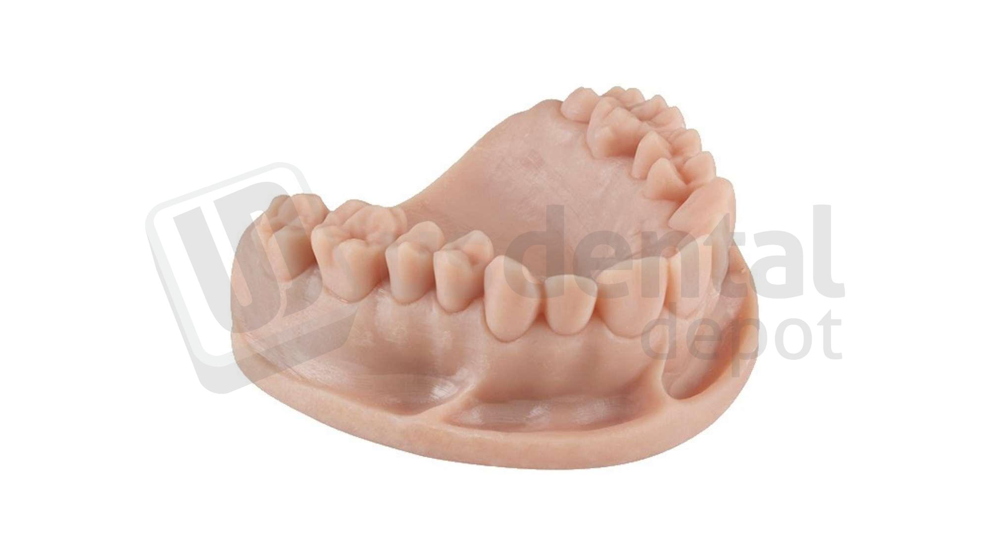 KEYMODEL | KEYSTONE # 4200006 | US Dental Depot
